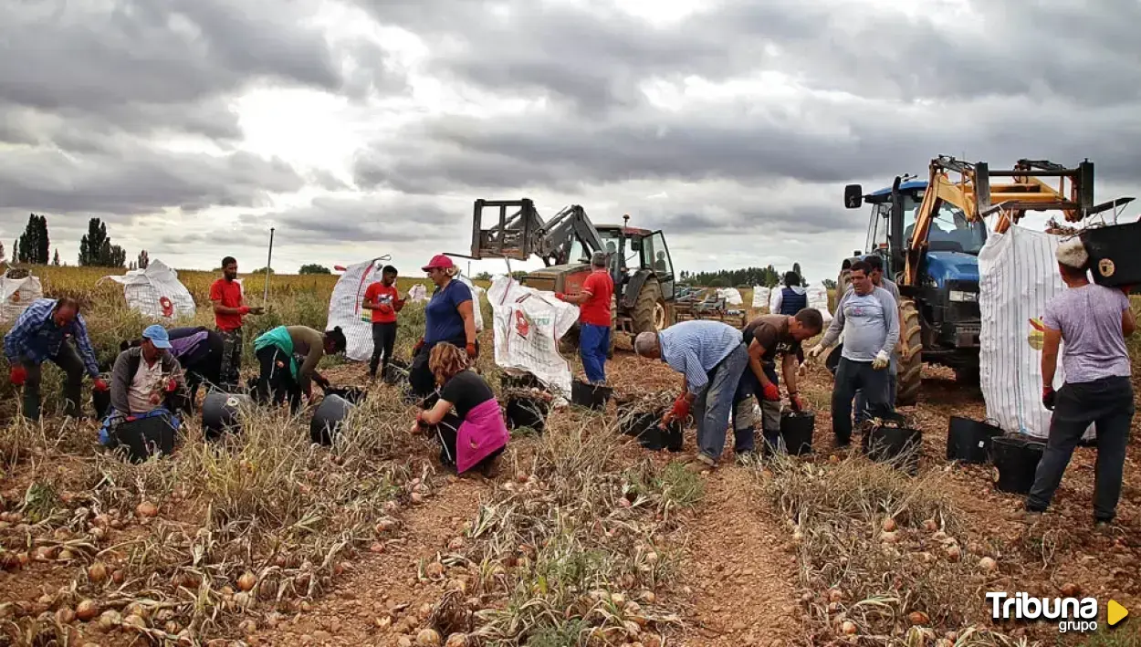 Shemale massage happy ending a gorgeous woman who appeared